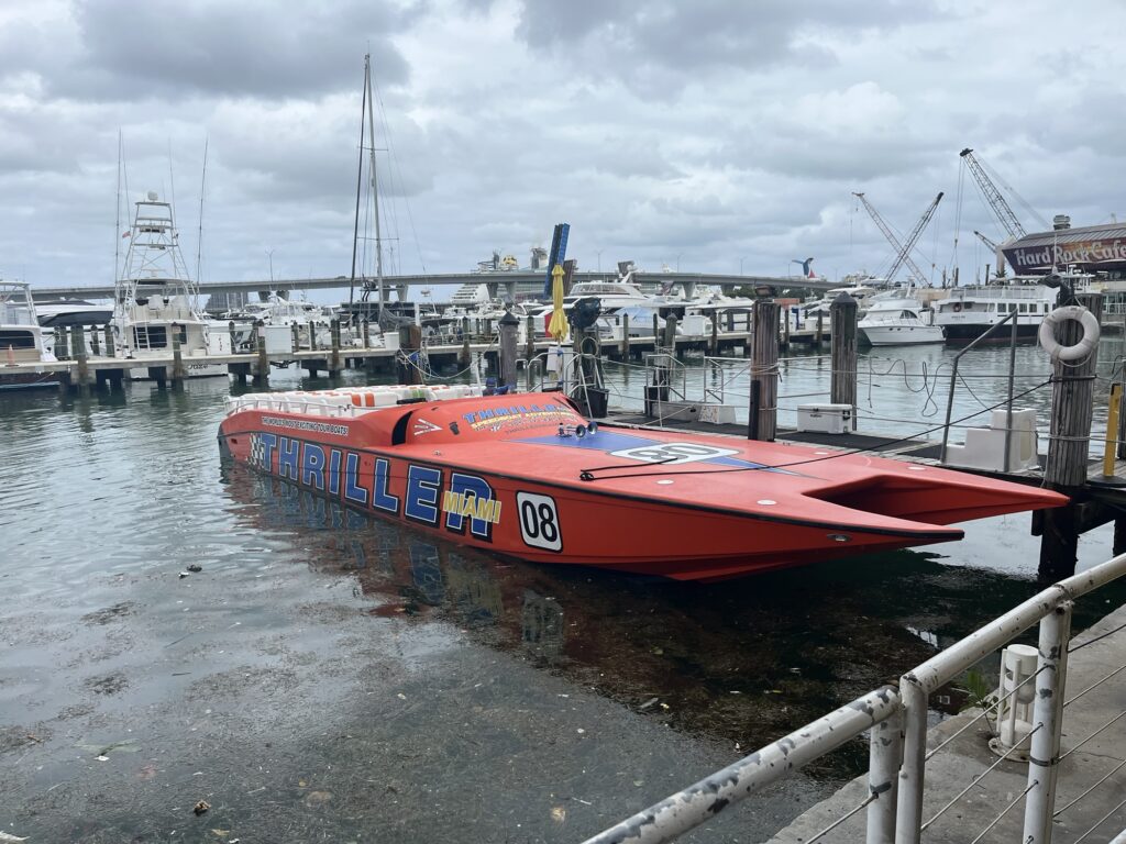 Miami's Vibrant Energy: A City Full of Surprises - Girl Out Exploring